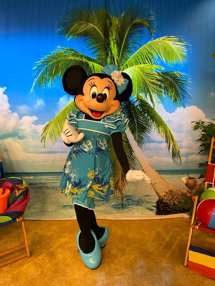 Video / Photos: CHOC Foundation Hosts Minnie Walk 2023 Ahead of Annual ...