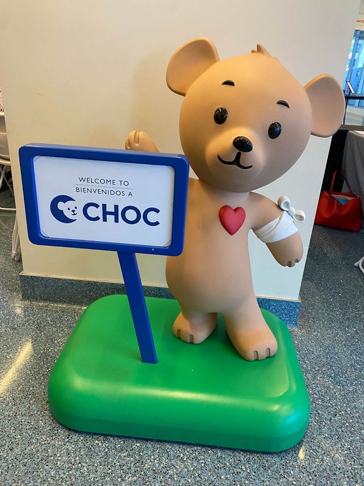 Video / Photos: CHOC Foundation Hosts Minnie Walk 2023 Ahead of Annual ...