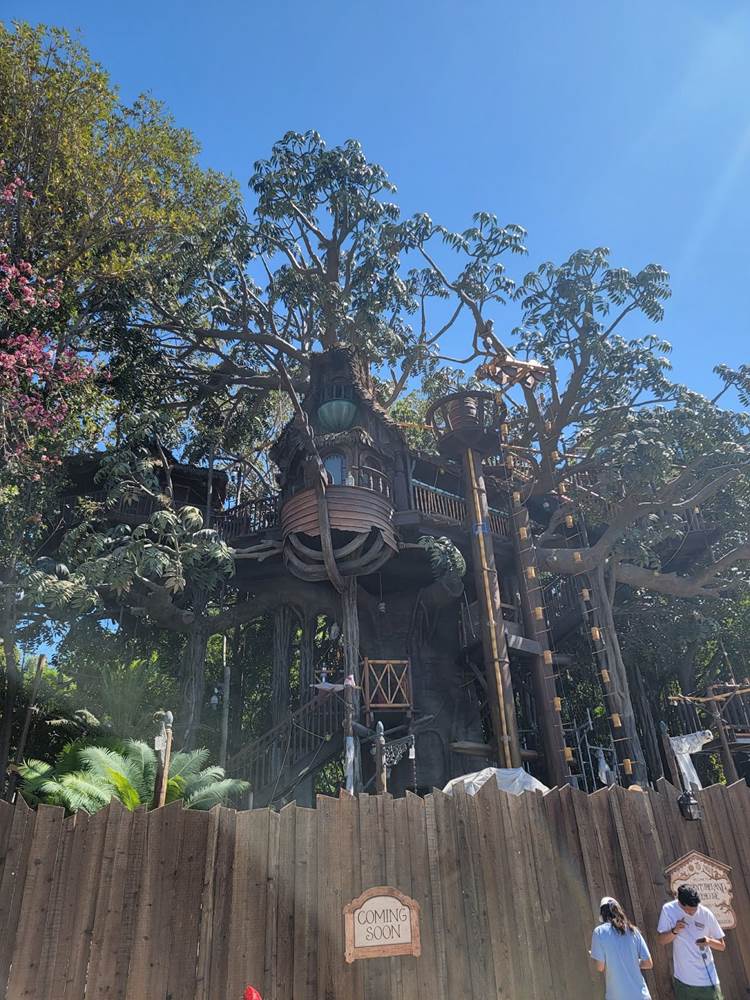 Photo Update: Adventureland Treehouse Takes Shape as Scrim is Removed ...