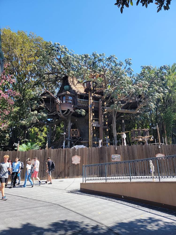 Photo Update: Adventureland Treehouse Takes Shape as Scrim is Removed ...
