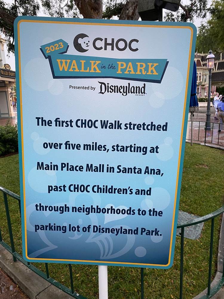 Photos / Video: CHOC Walk In the Park Returns to Disneyland for First ...