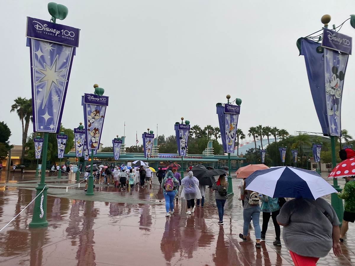 Photos / Video: CHOC Walk In the Park Returns to Disneyland for First ...