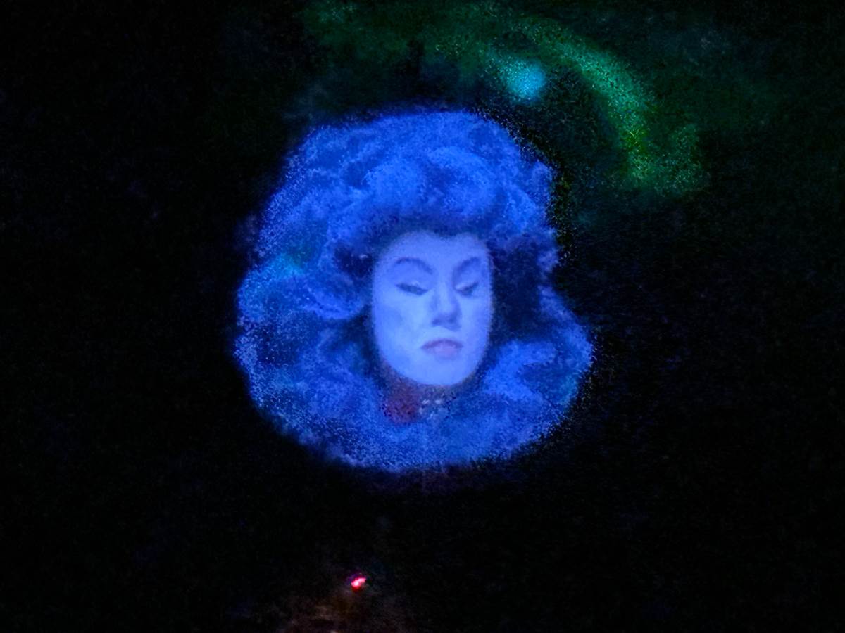 Photos / Video: The Haunted Mansion Reopens at the Magic Kingdom with ...
