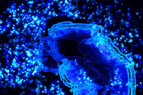 Videos: SIGGRAPH 2023's Time Tunnel and Art Gallery - LaughingPlace.com