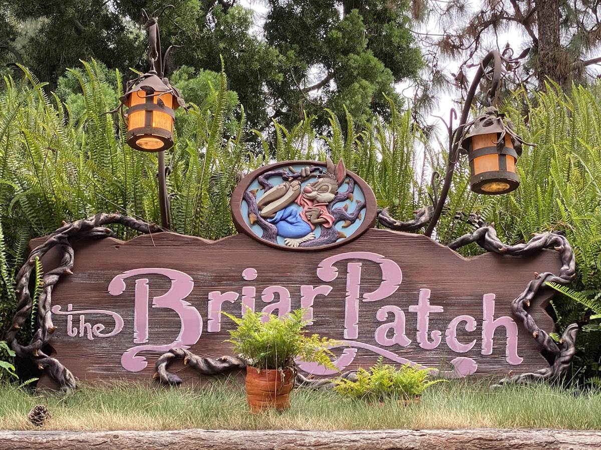 Brer Ours Disneyland