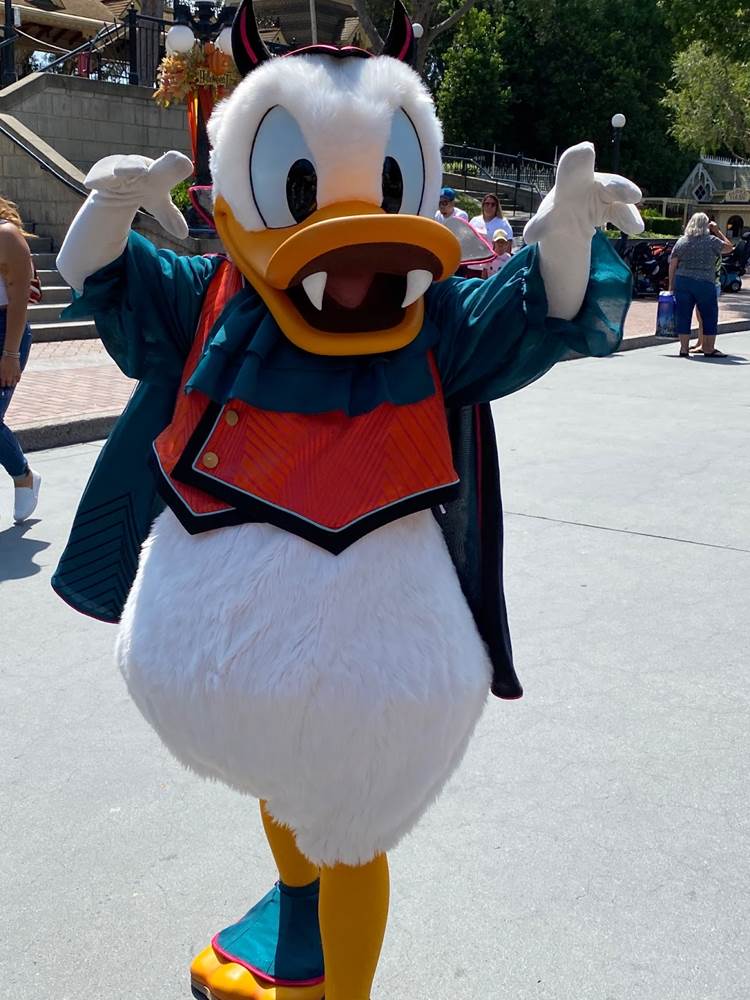 Photos: Mickey and Friends Once Again Debut New Halloween Costumes at ...