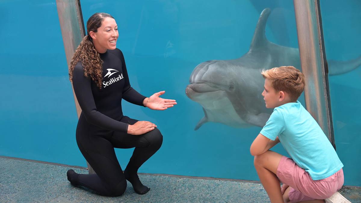 “Inside Look” Returns to SeaWorld Orlando with New Experiences on ...