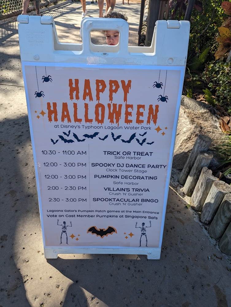 Photos: Pumpkin Decorating Takes Center Stage At Typhoon Lagoon ...