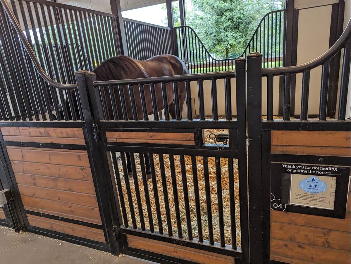 Photos: Stopping By The Tri-Circle D Ranch at Disney's Fort Wilderness ...