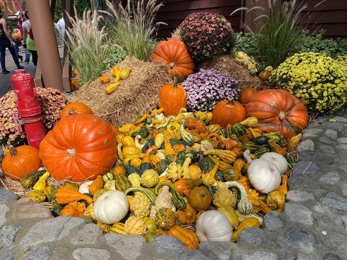 Photos / Video: Knott's Spooky Farm 2023 Features Family-Friendly ...