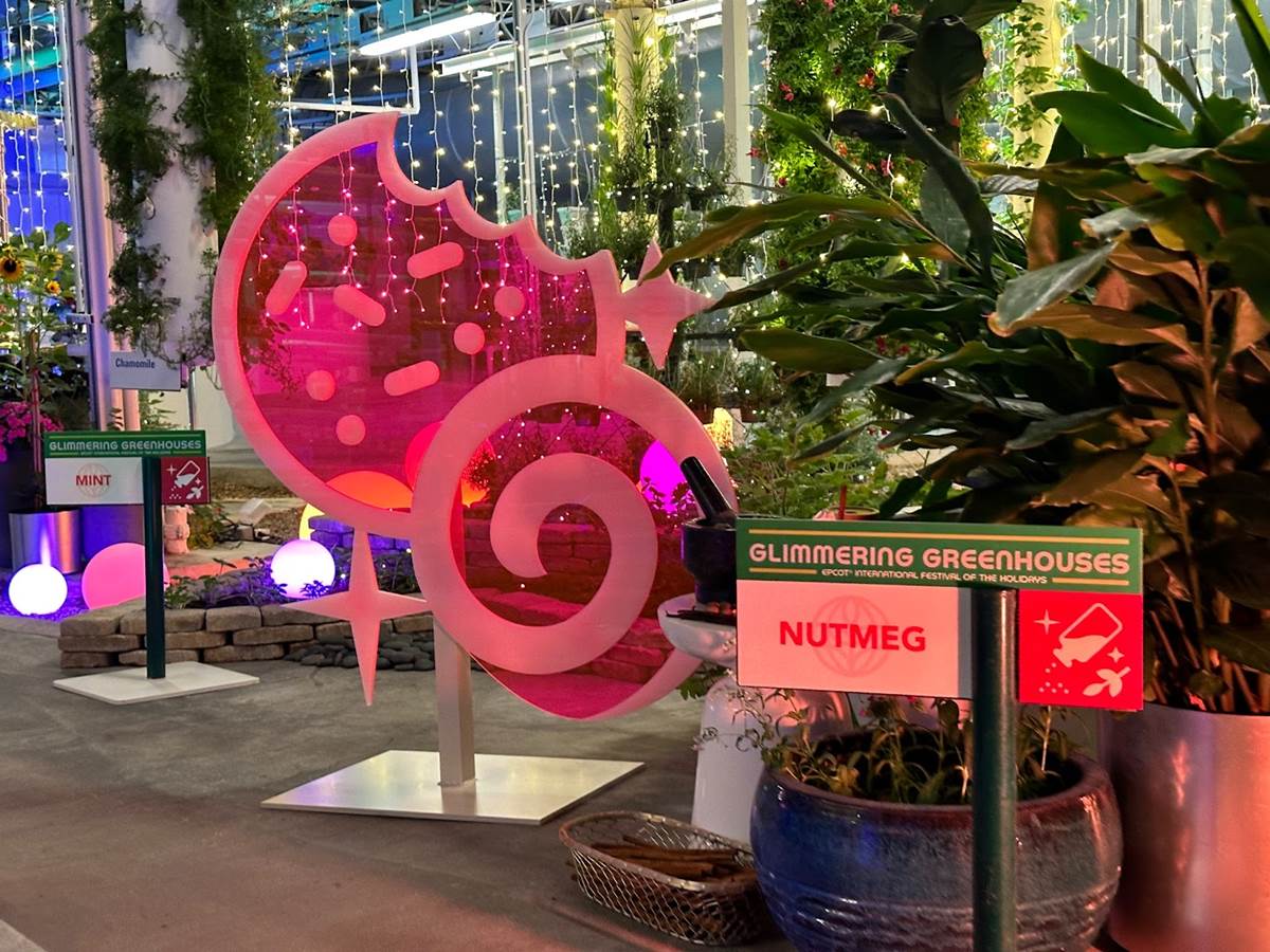 Photos: Living With The Land: Glimmering Greenhouses Returns to EPCOT ...