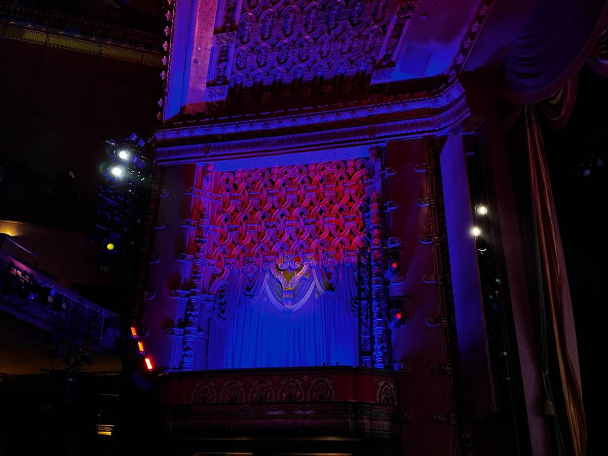 Photos: "The Marvels" Opening Night Fan Event at Disney's El Capitan ...