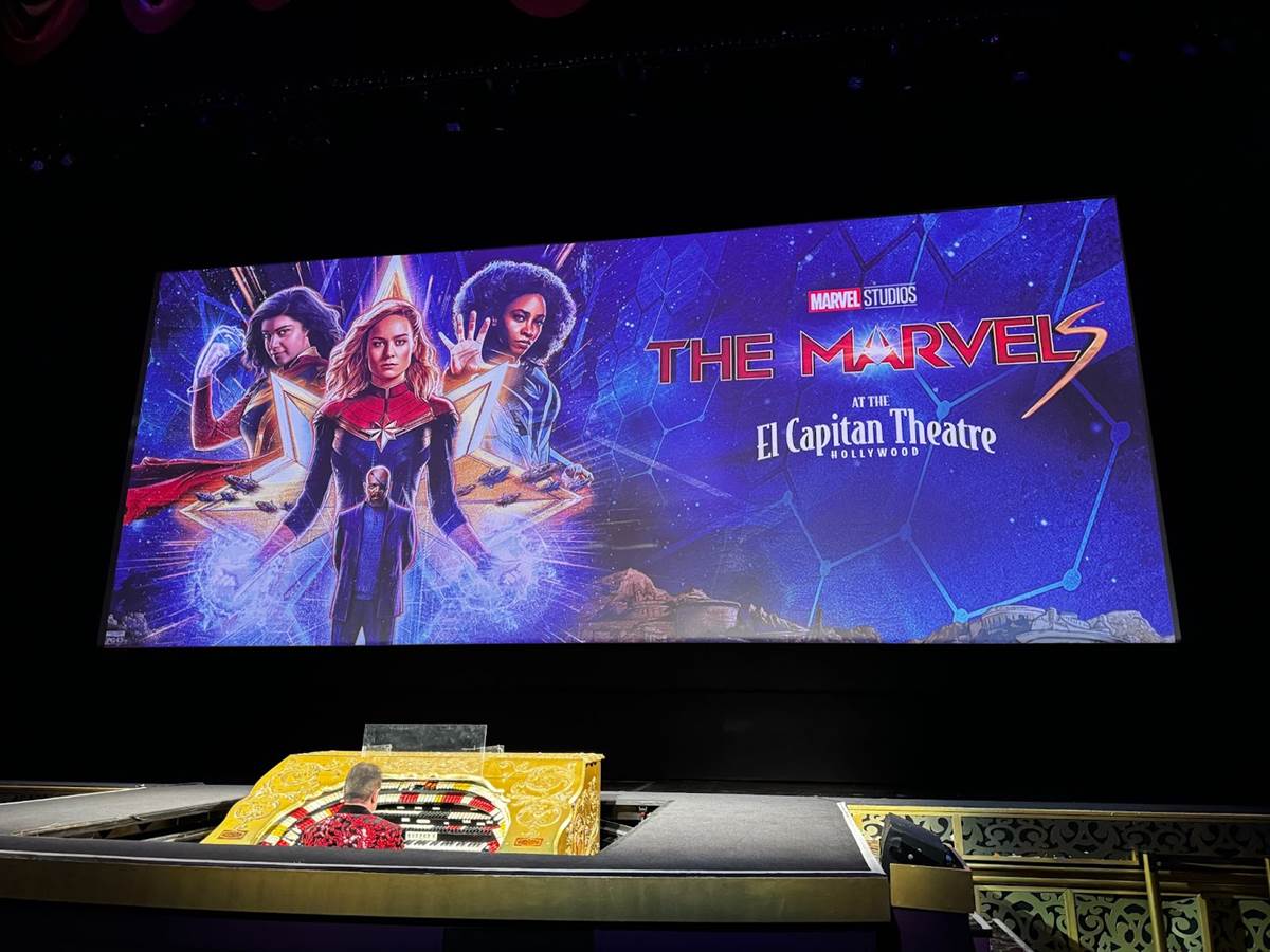 Photos: "The Marvels" Opening Night Fan Event at Disney's El Capitan ...