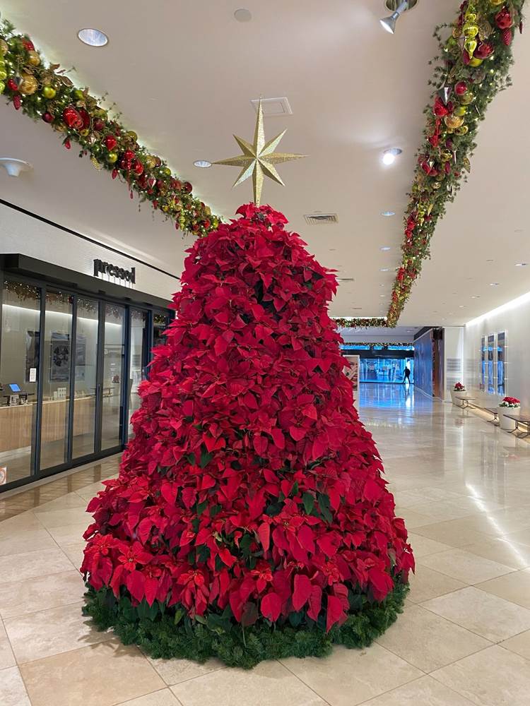 Photos / Video: CHOC Foundation Hosts "Carousel of Possible Dreams ...