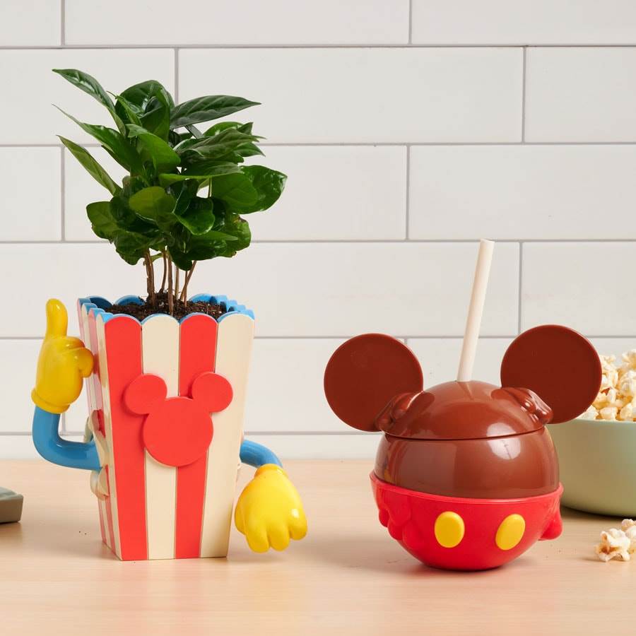 The Disney Eats Snack Collection is a Foodie's Dream Come True