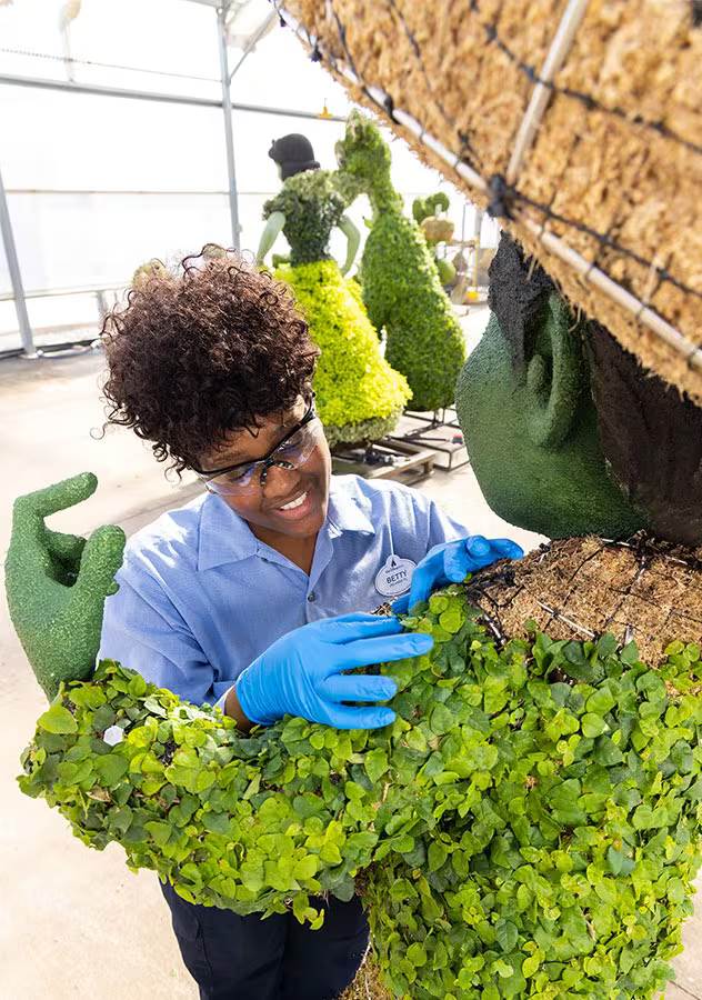 Groot, “Coco” and “Wish” Topiaries to Debut at the 2024 EPCOT ...