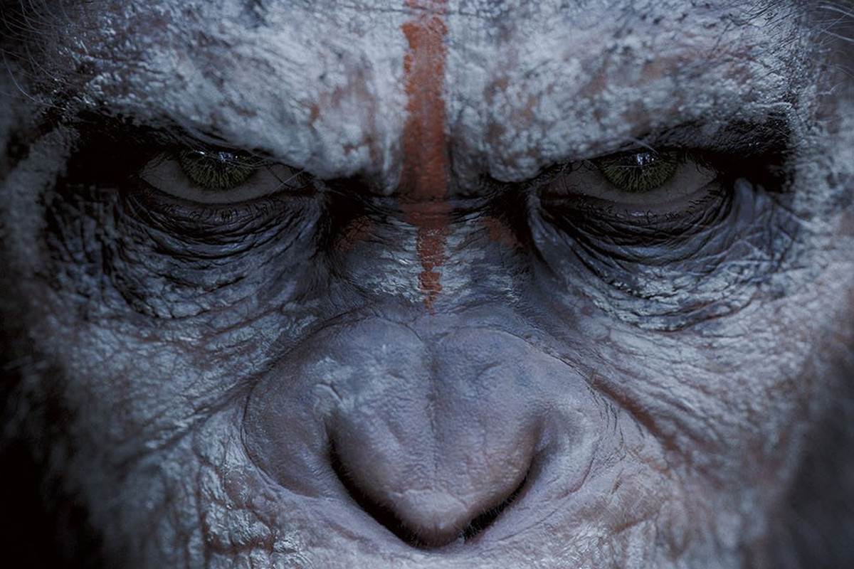 Monkey Musings: “Dawn of the Planet of the Apes” - LaughingPlace.com