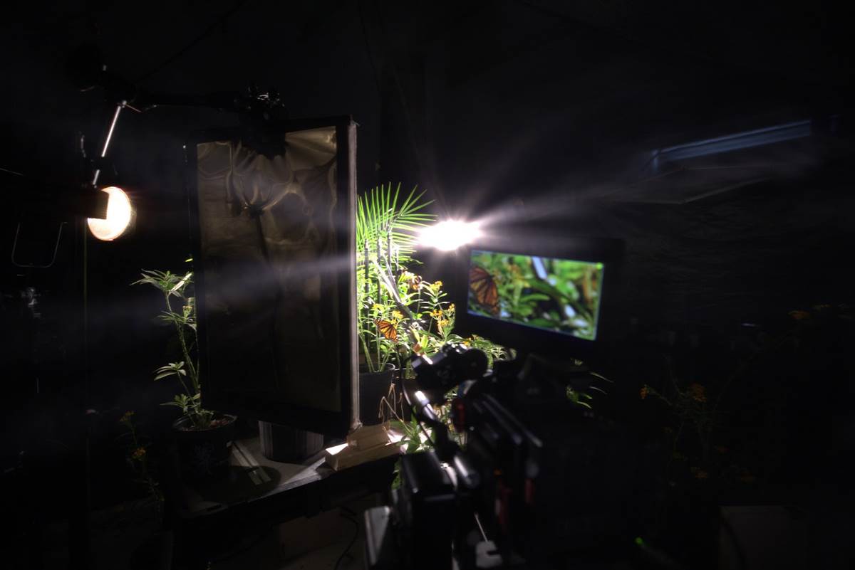 Capturing an Epic of Miniature Proportions: Interview with the Creators ...