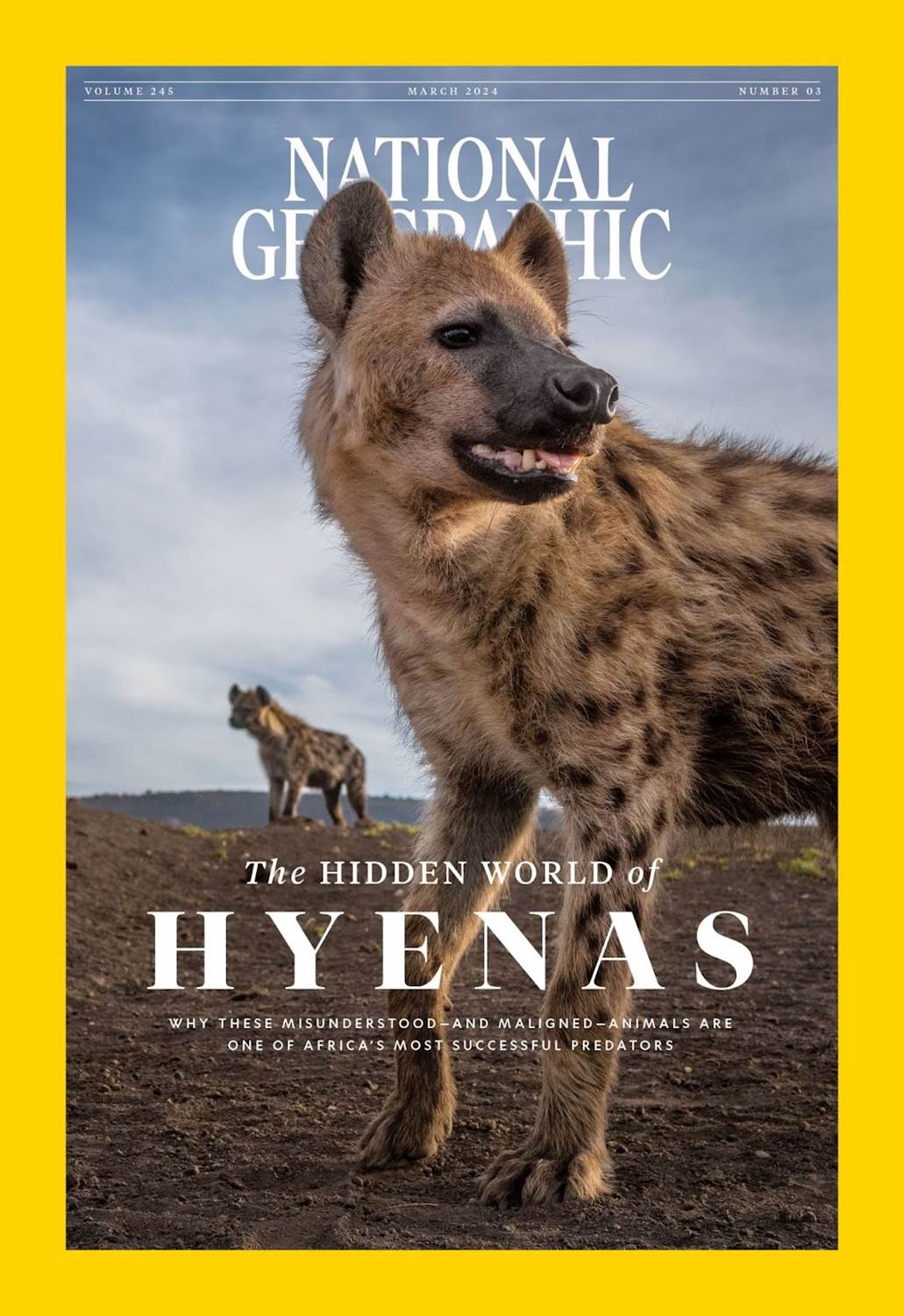 Disney Digest 2/21/24 (MIA Ironheart, AI Acceleration, Begging a Mouse)