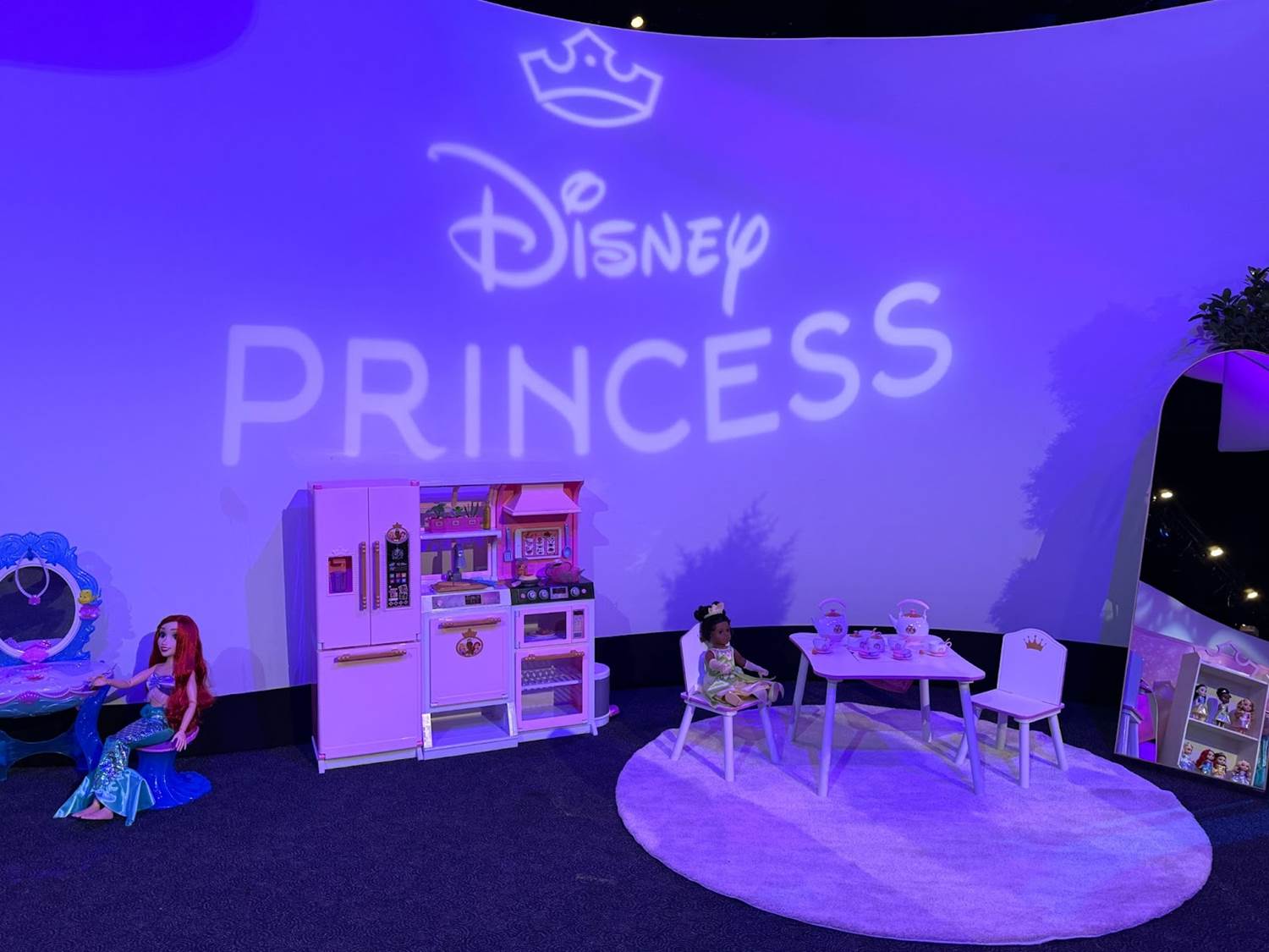 Tour the Disney Princess Dream Closet Full of Dolls and Pretend Play ...