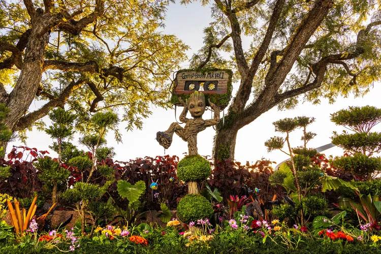 New Groot Topiary To Debut at EPCOT International Flower & Garden ...