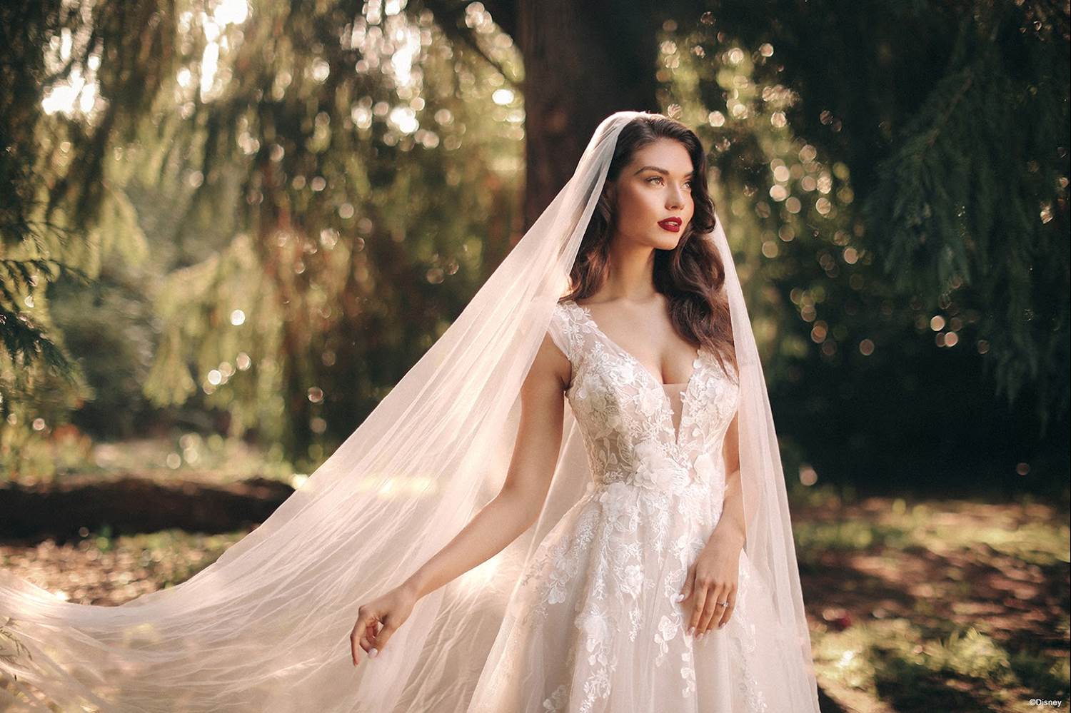 New Princess-Inspired Gowns Unveiled by Disney Fairy Tale Weddings ...