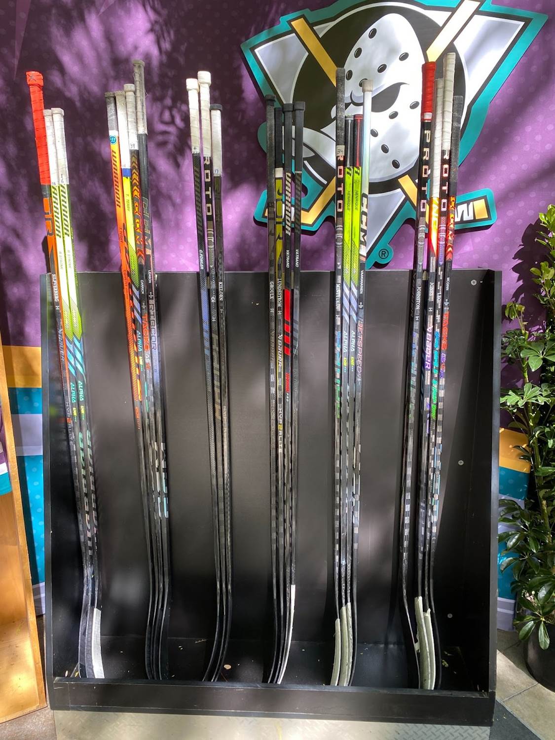 Photos: Anaheim Ducks Days Takes Over Hollywood Land at Disney ...