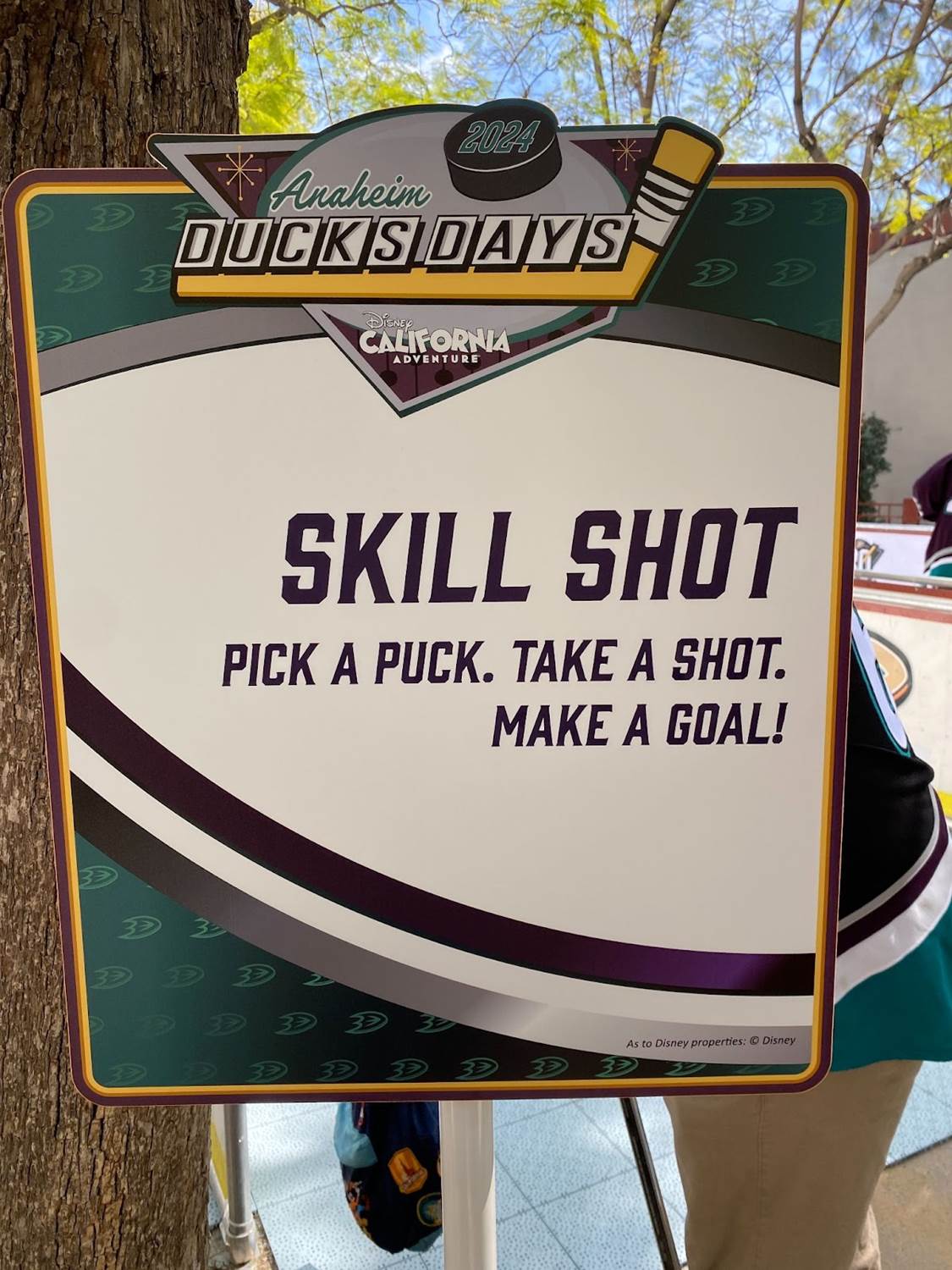 Photos: Anaheim Ducks Days Takes Over Hollywood Land at Disney ...