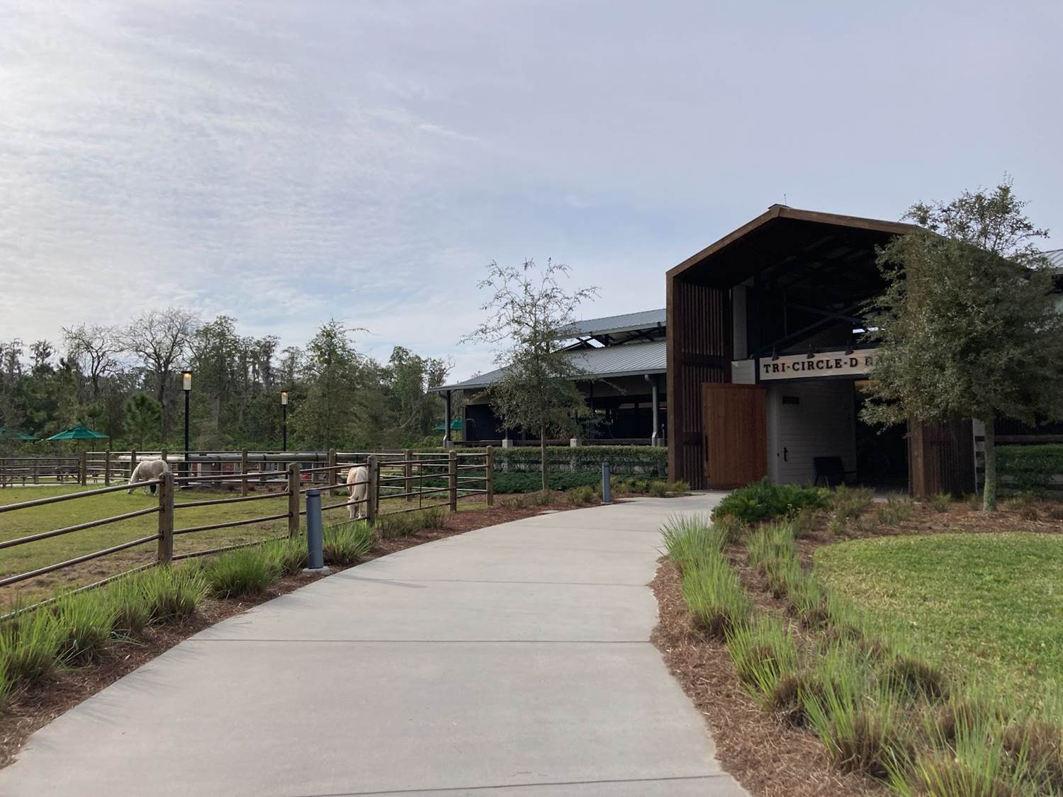 Walt Disney World Sports: The Tri-Circle-D Ranch Offers Unique ...