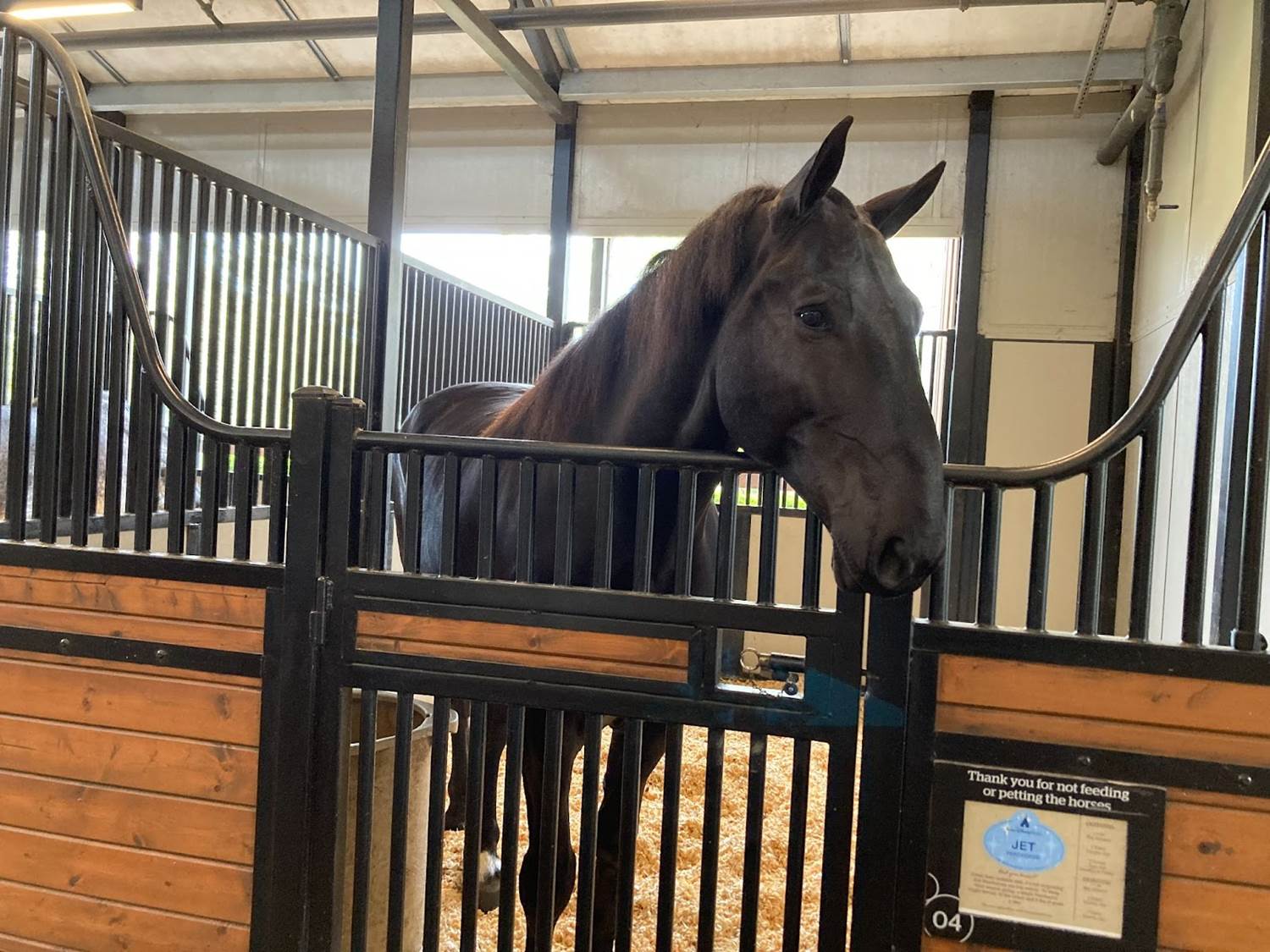 Walt Disney World Sports: The Tri-Circle-D Ranch Offers Unique ...