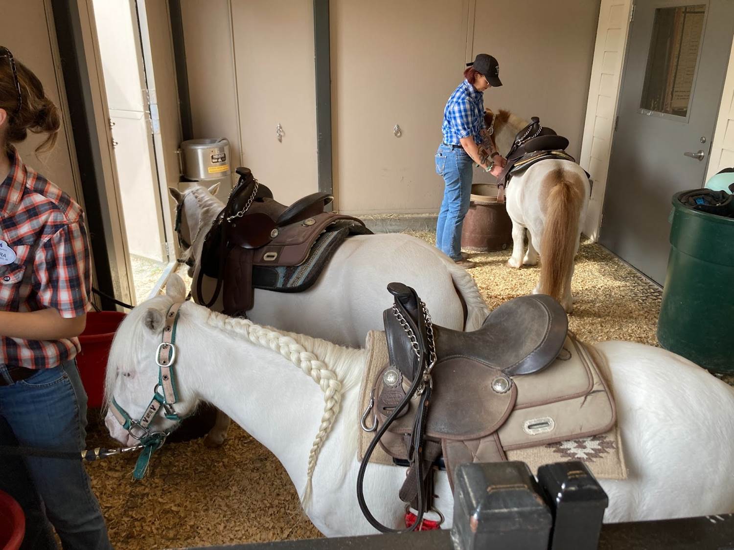 Walt Disney World Sports: The Tri-Circle-D Ranch Offers Unique ...