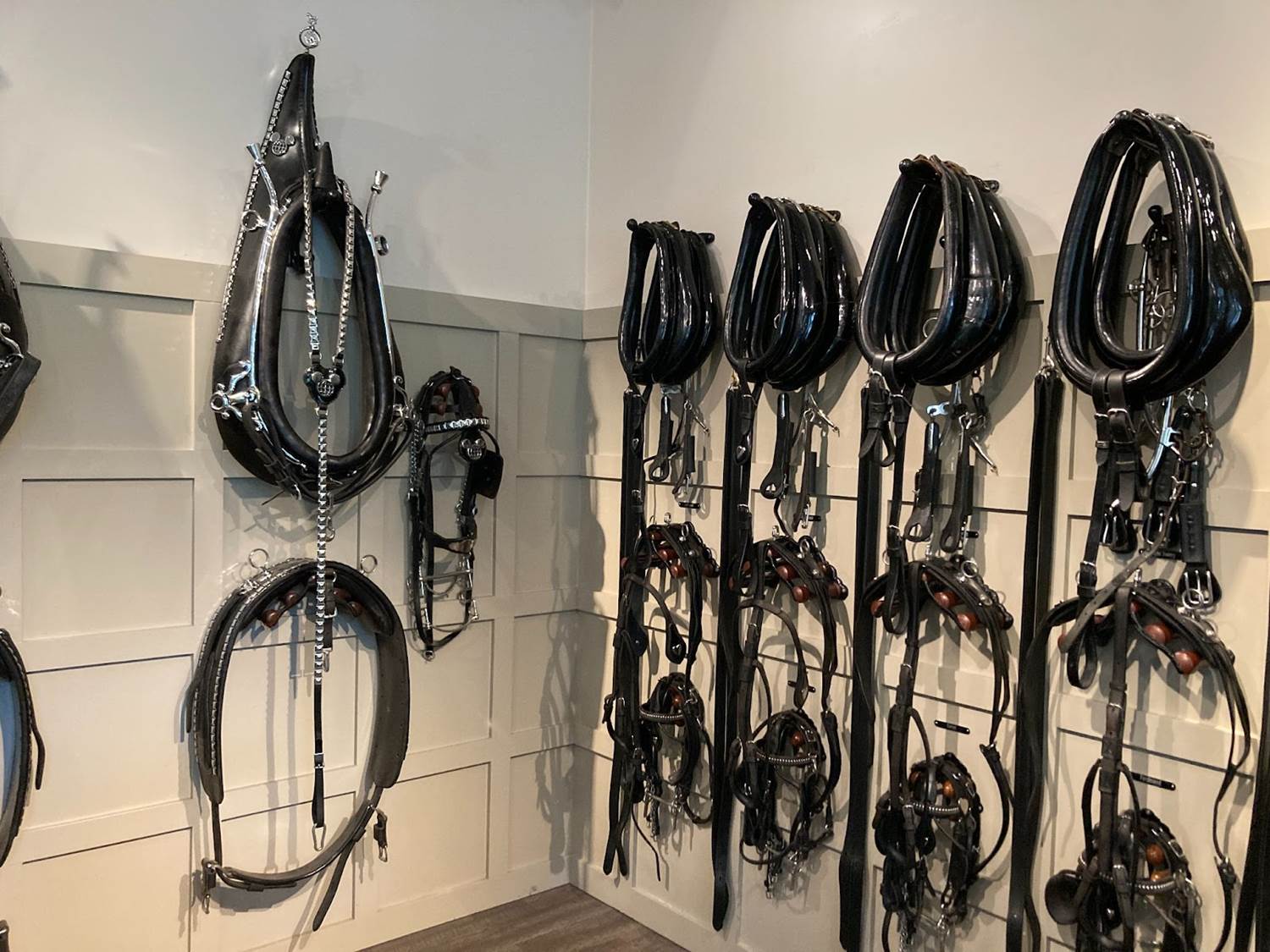 Walt Disney World Sports: The Tri-Circle-D Ranch Offers Unique ...