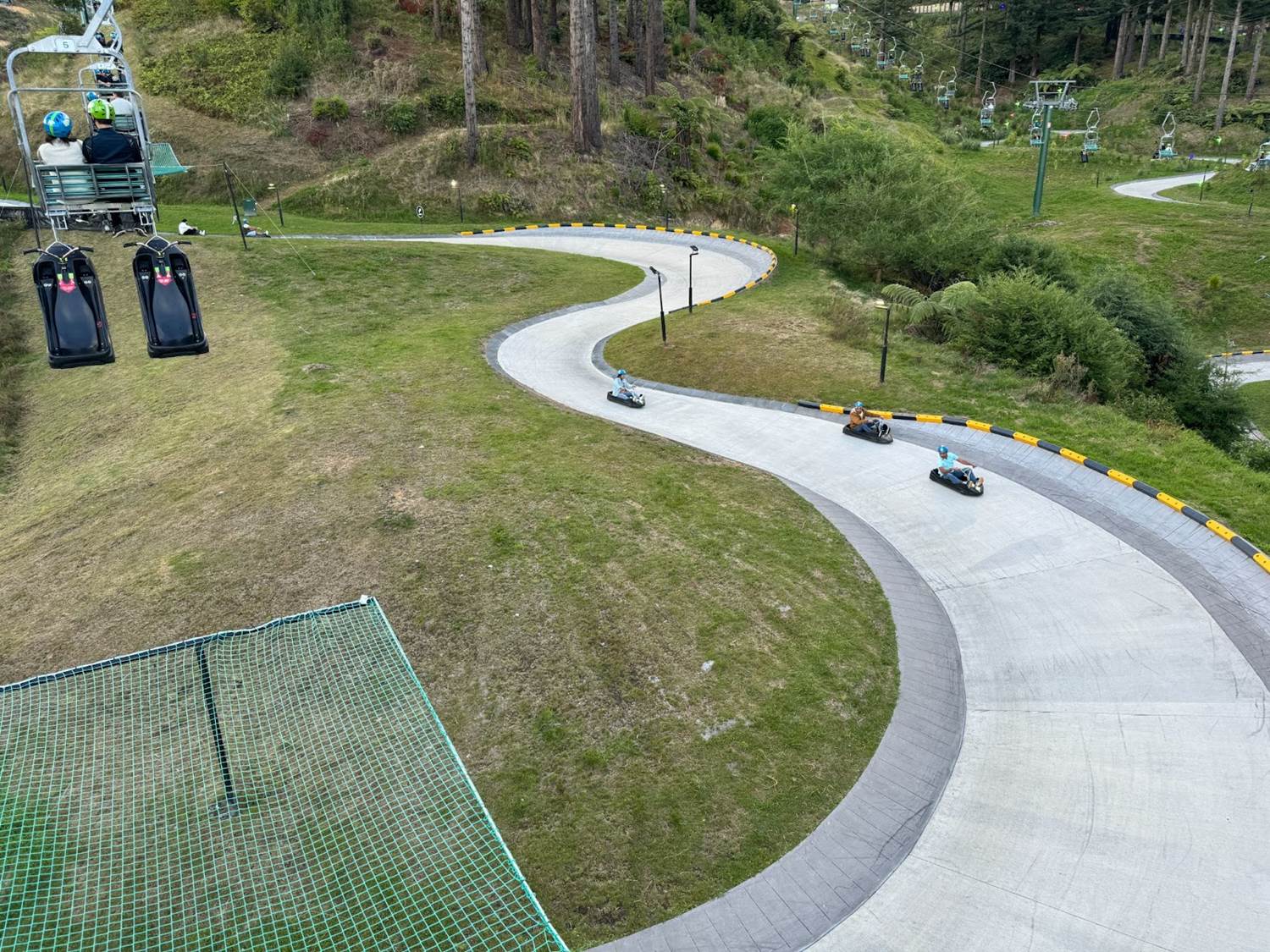 Trip Report: Adventures by Disney New Zealand Day 5 – Kiwi Hatchery ...