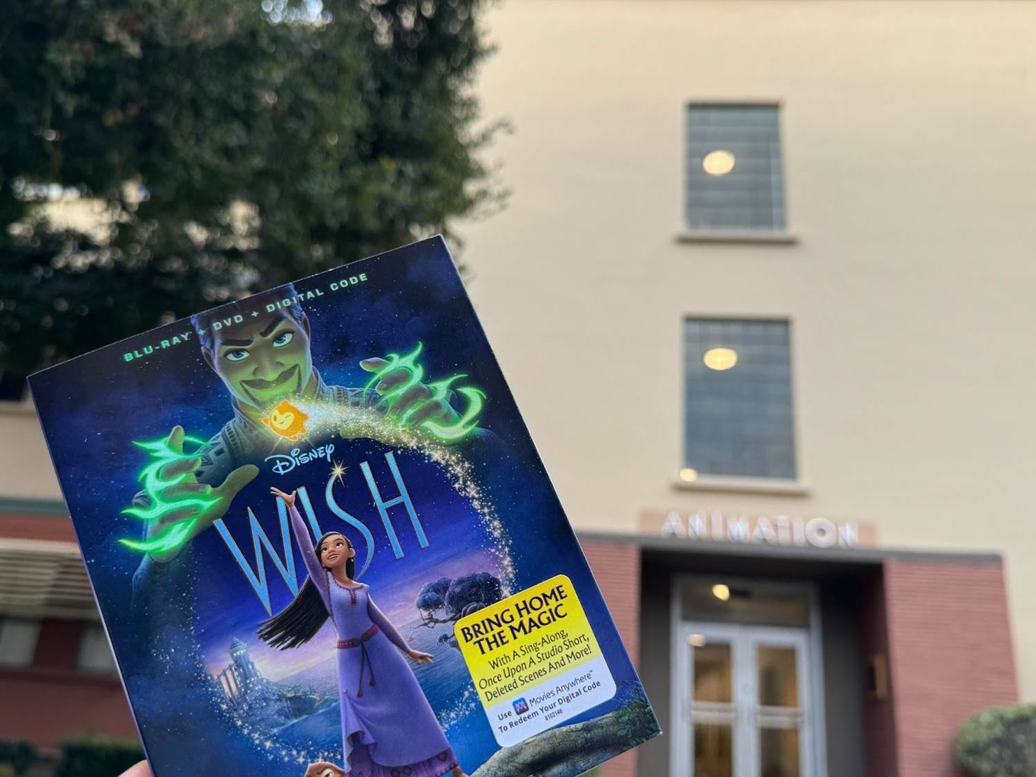 Event Recap: Walt Disney Studios Celebrates Home Video Release of "Wish ...