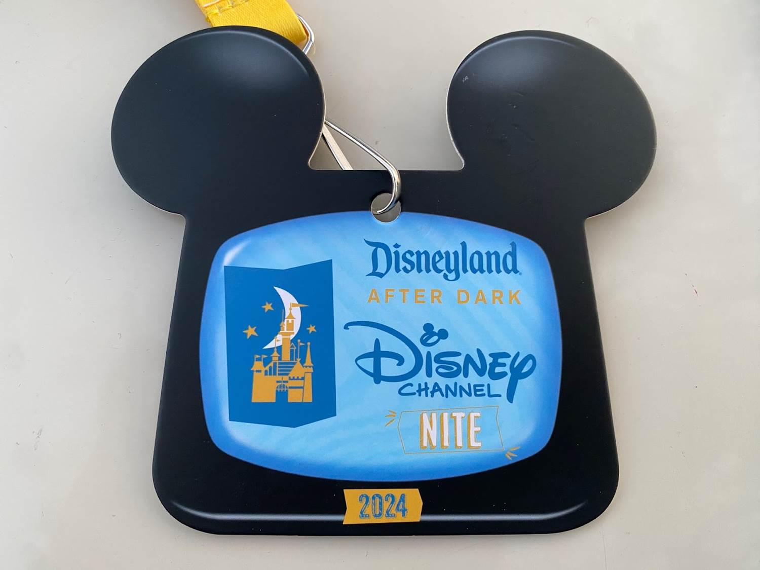 Disneyland After Dark: Disney Channel Nite 2024 Event Guide and ...