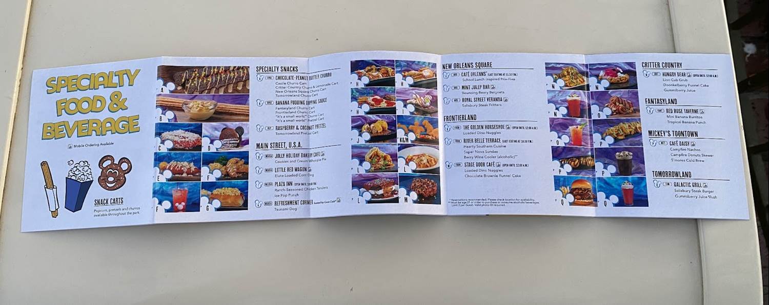 Disneyland After Dark: Disney Channel Nite 2024 Event Guide and ...