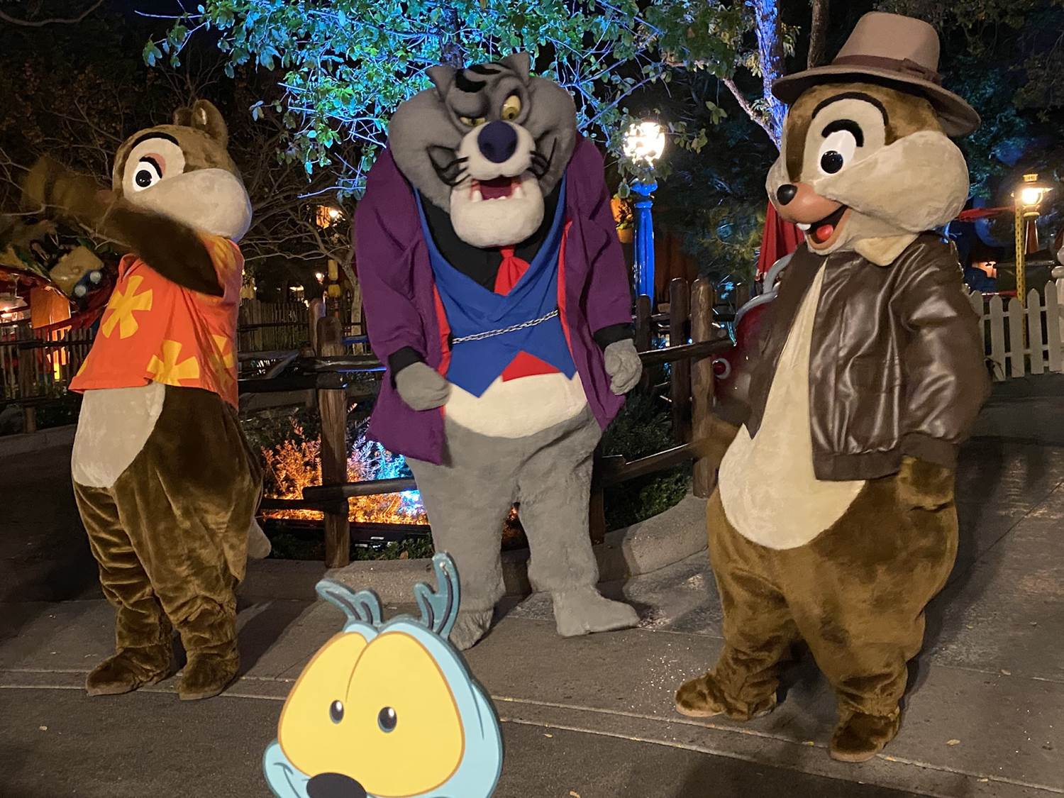 Disneyland After Dark: Disney Channel Nite 2024 — The Character ...