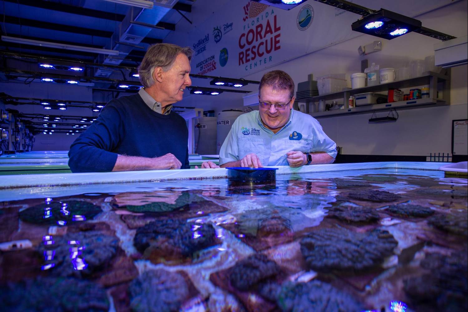 Florida Coral Rescue Center Marks Fourth Year with Landmark ...