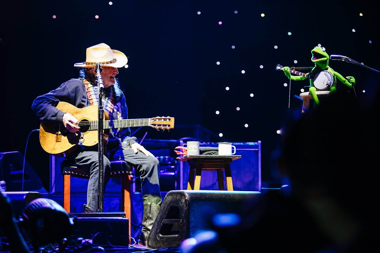 Kermit The Frog Takes The Stage With Willie Nelson During Luck Reunion ...