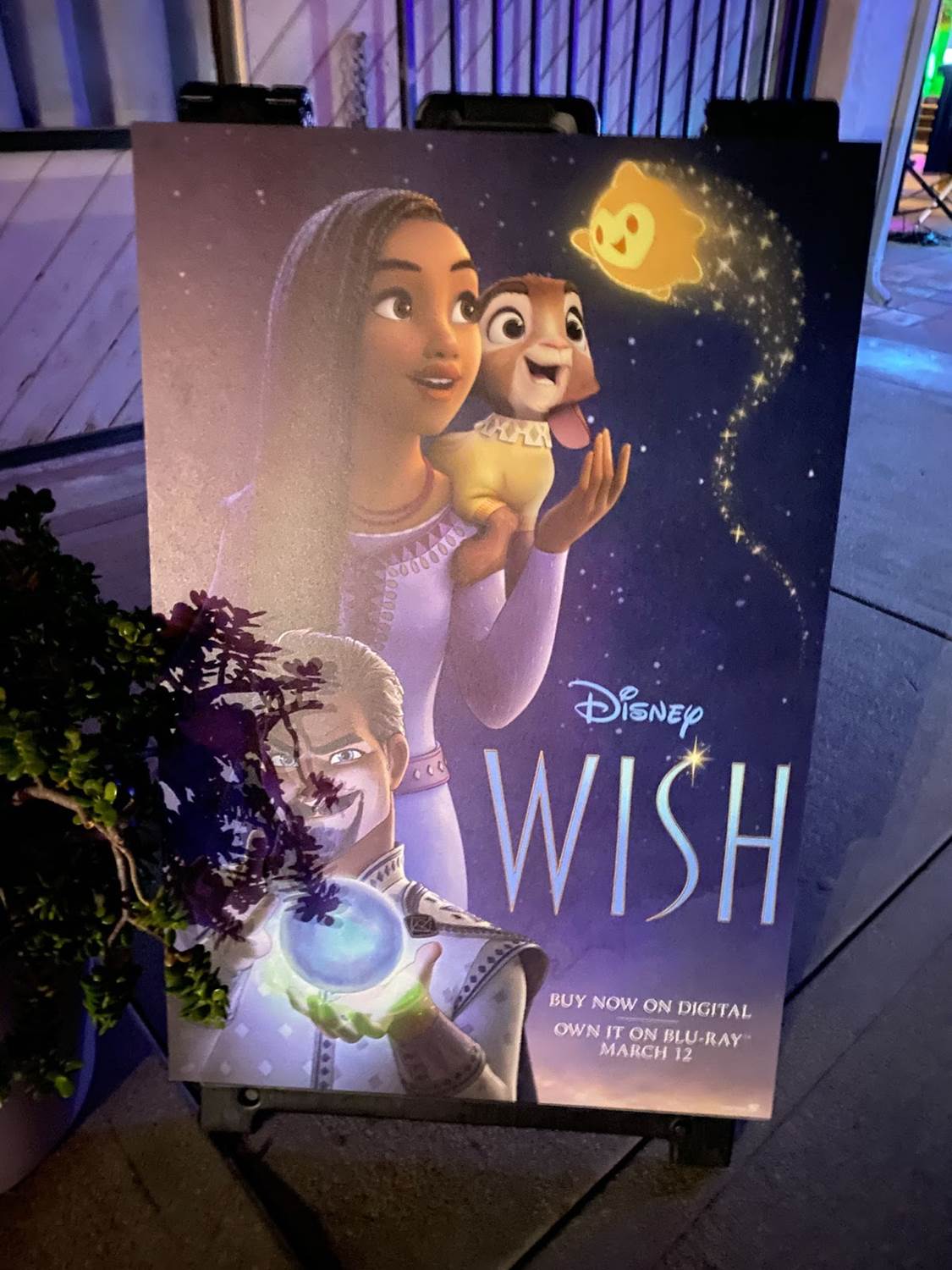 Photos: Disney's "Wish" Activation Materializes at Astra Lumina During ...