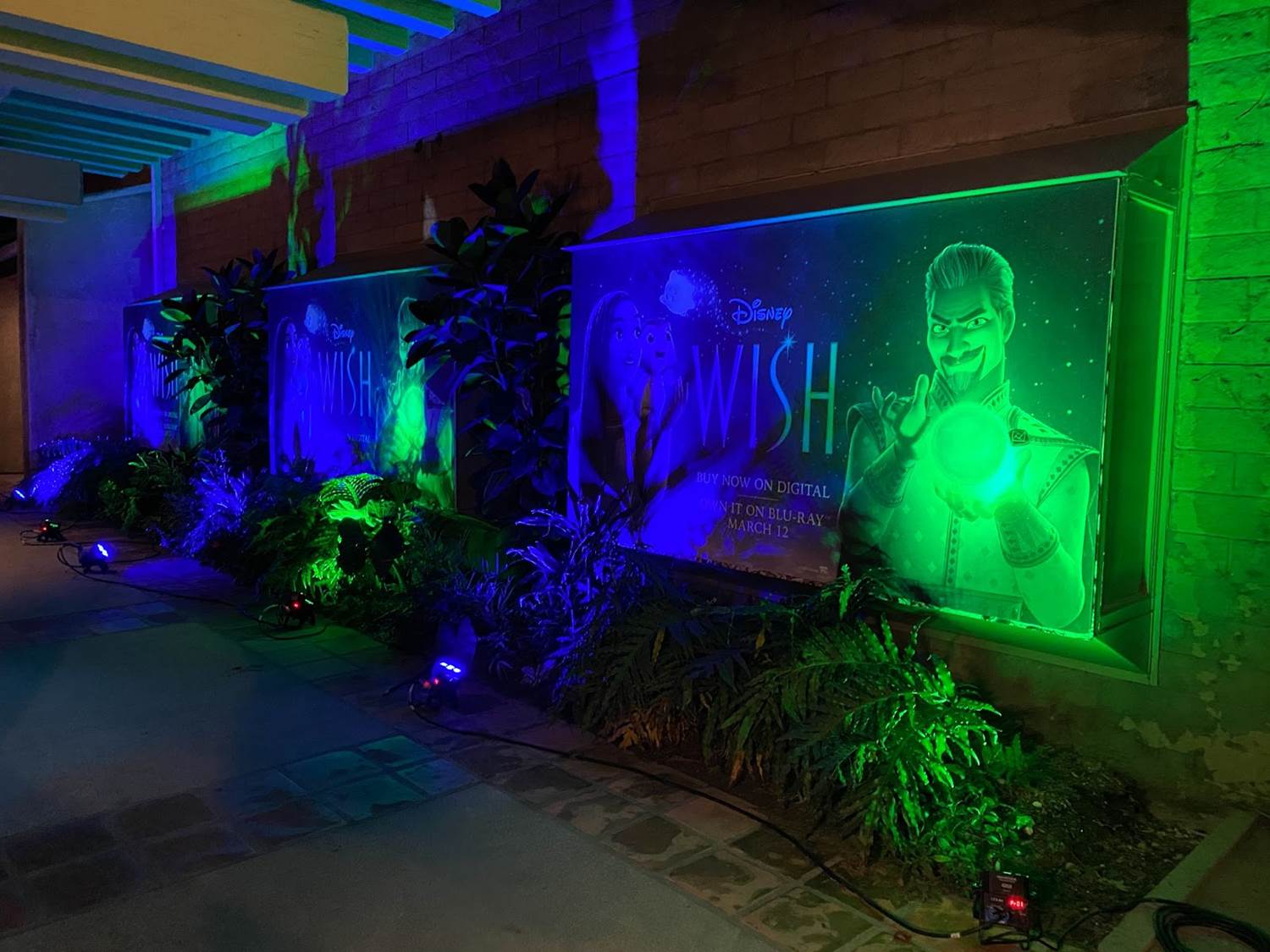 Photos: Disney's "Wish" Activation Materializes at Astra Lumina During ...