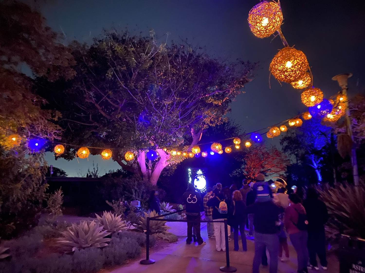 Photos: Disney's "Wish" Activation Materializes at Astra Lumina During ...
