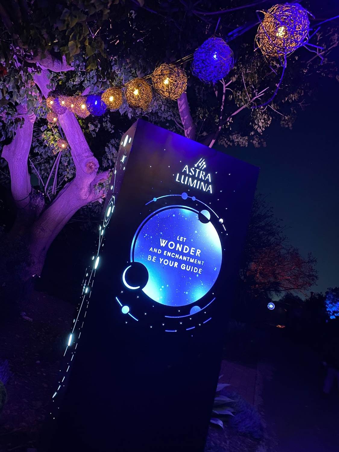 Photos: Disney's "Wish" Activation Materializes at Astra Lumina During ...