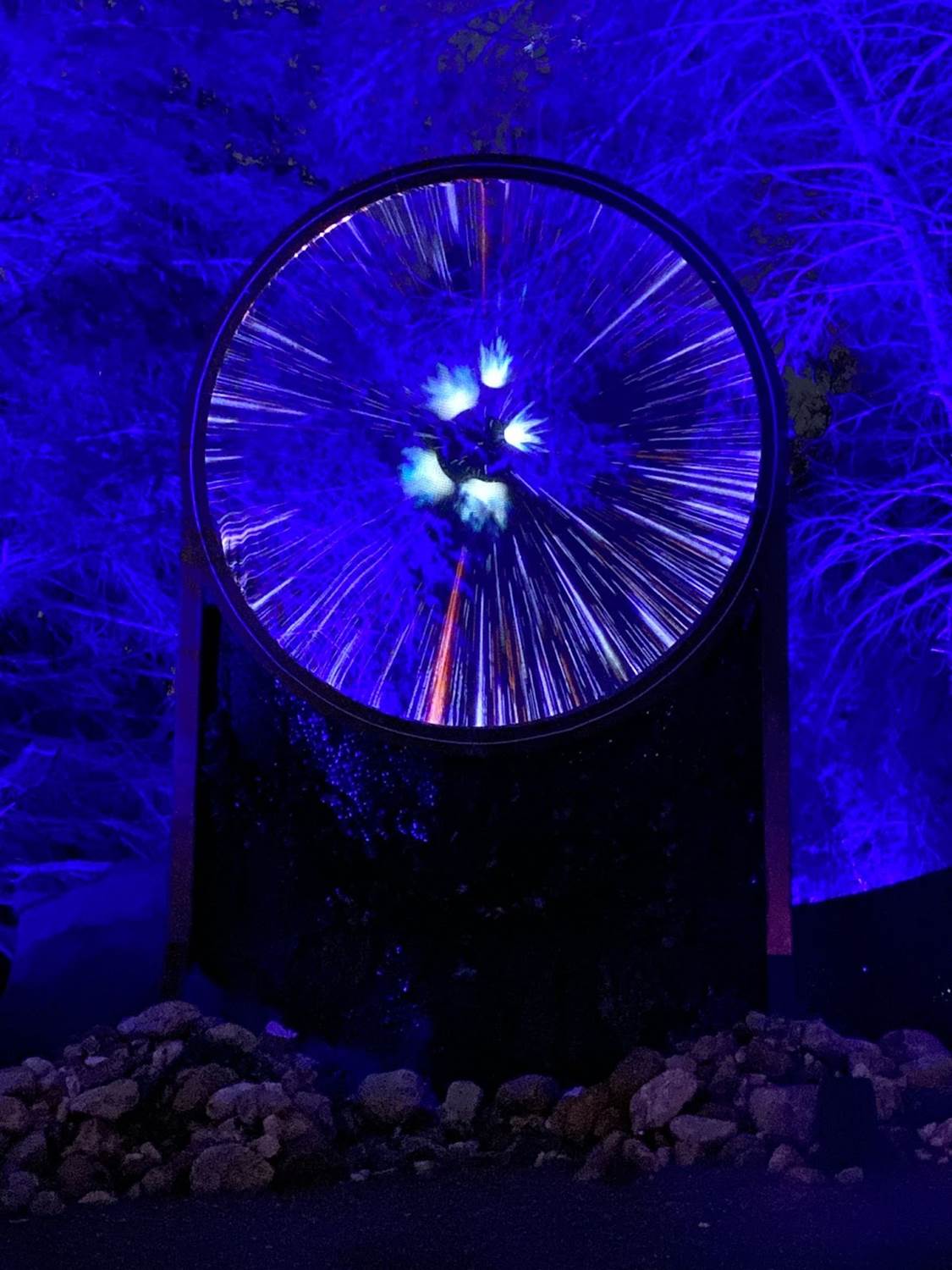 Photos: Disney's "Wish" Activation Materializes at Astra Lumina During ...