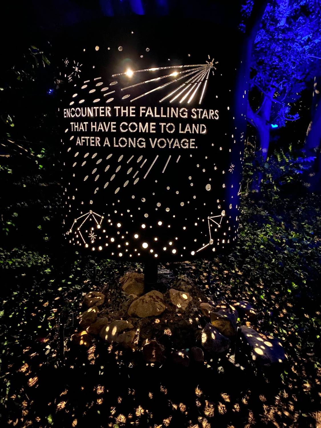 Photos: Disney's "Wish" Activation Materializes at Astra Lumina During ...