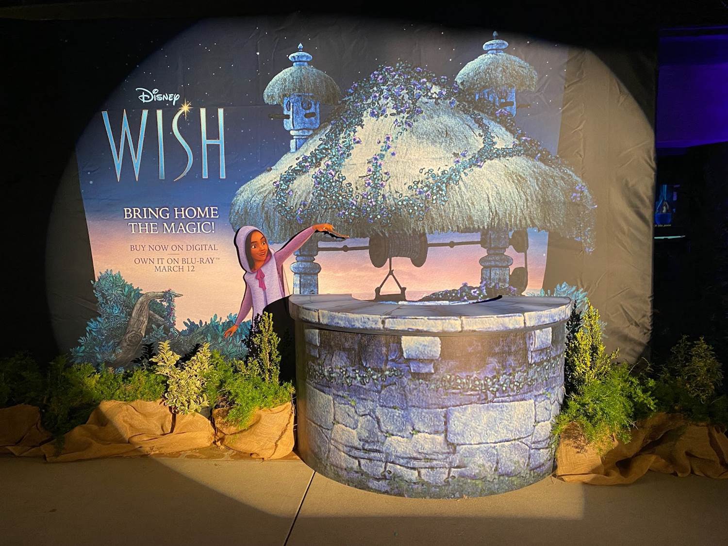 Photos: Disney's "Wish" Activation Materializes at Astra Lumina During ...