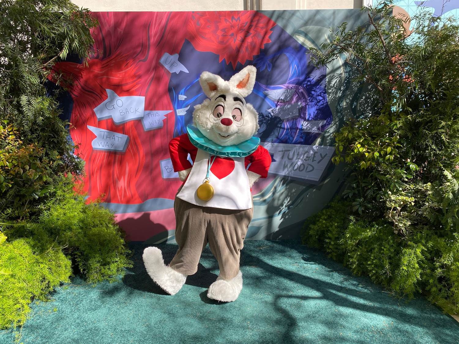 Photos: Magic Key Event Offers Unique Character Greetings, Photo-Ops ...