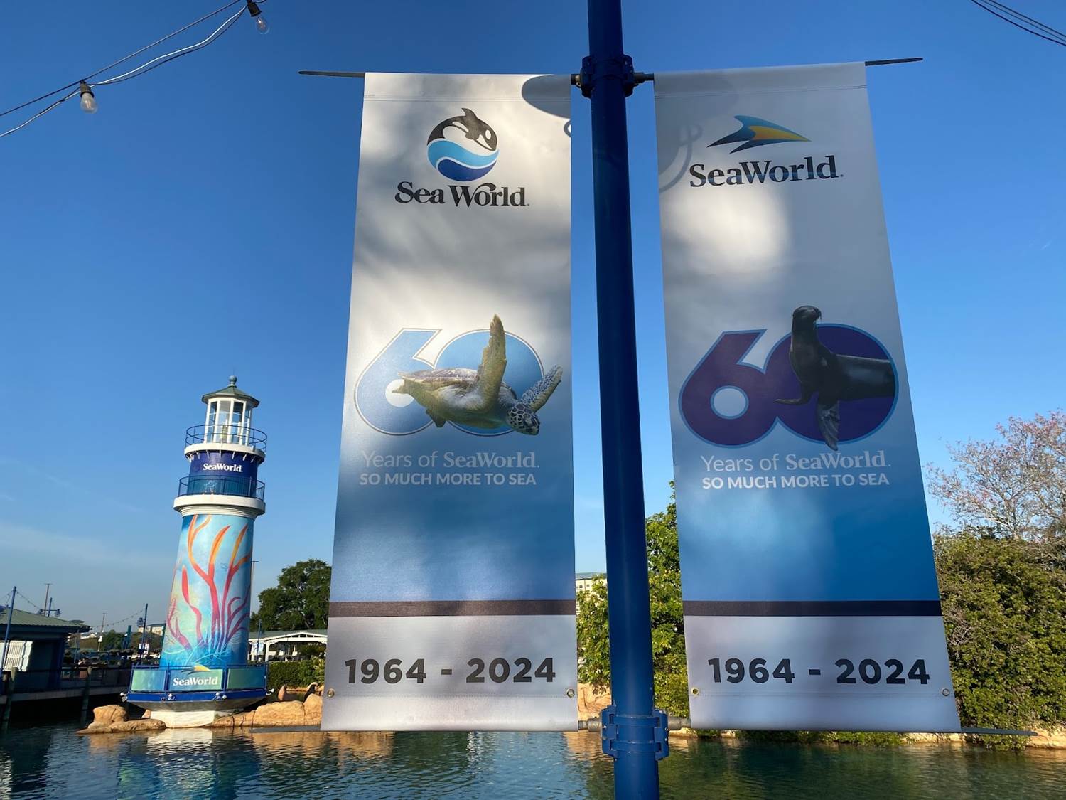 Photos / Video: SeaWorld Orlando Kicks Off SeaWorld's 60th Anniversary ...