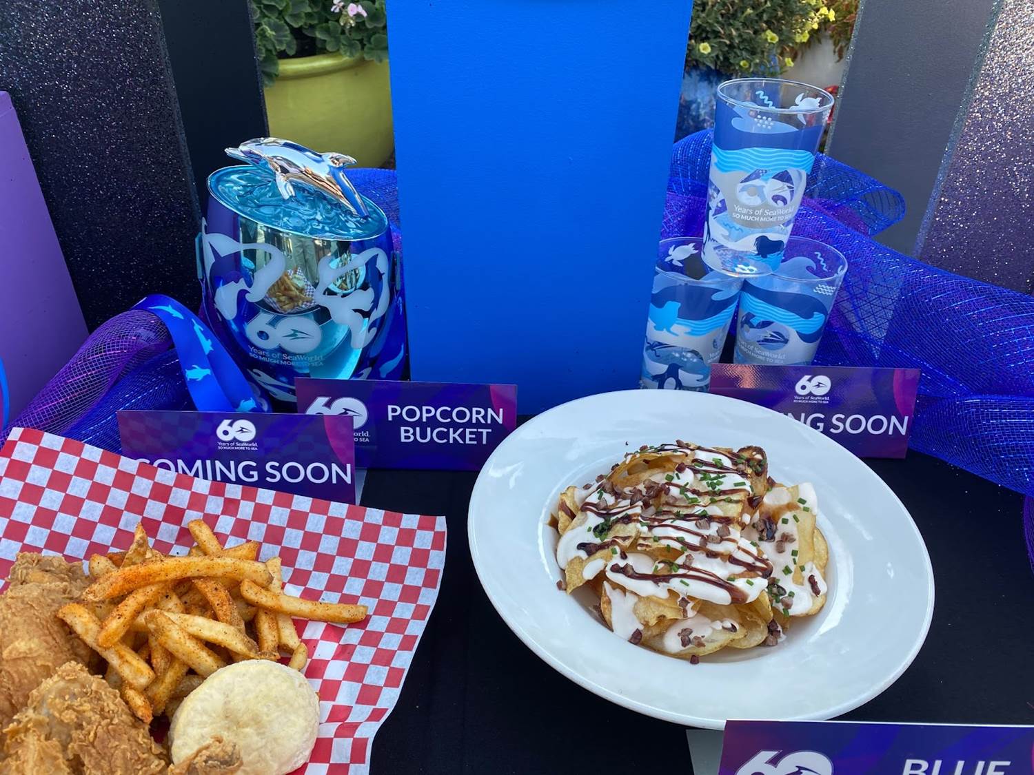 Photos / Video: SeaWorld Orlando Kicks Off SeaWorld's 60th Anniversary ...