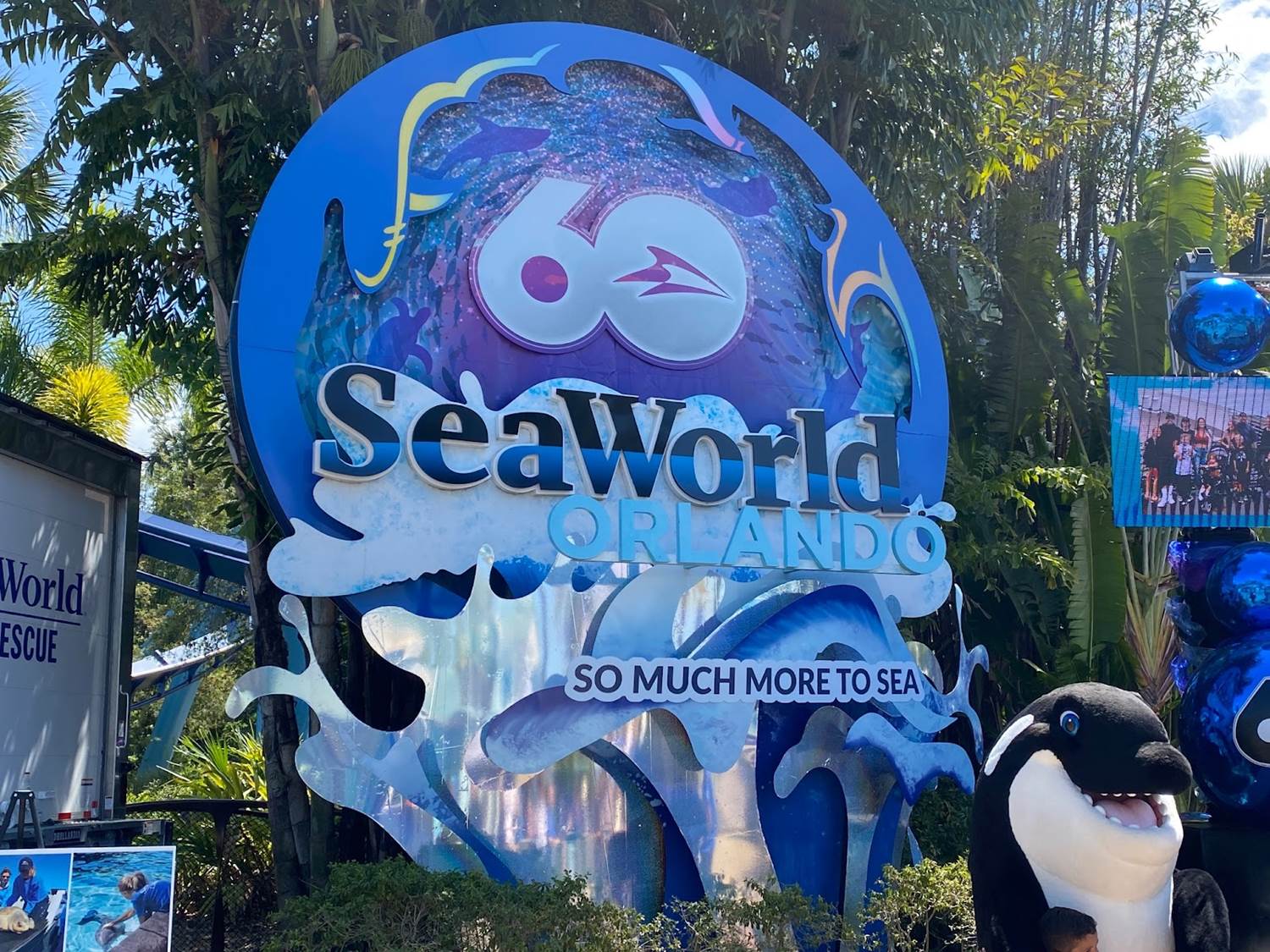 Photos / Video: SeaWorld Orlando Kicks Off SeaWorld's 60th Anniversary ...